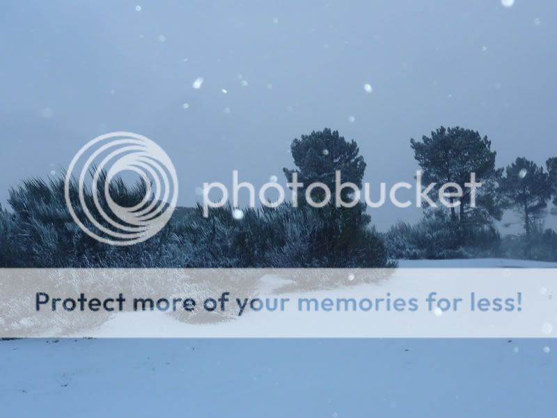 Neve na Guarda - Lightweight a bombar - LandMania Clube de Portugal