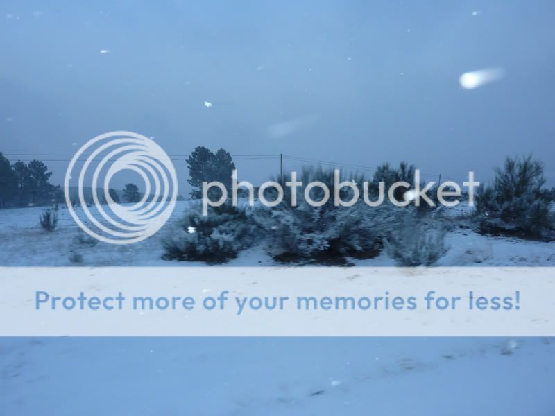 Neve na Guarda - Lightweight a bombar - LandMania Clube de Portugal