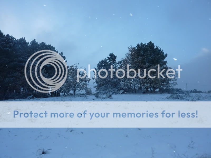 Neve na Guarda - Lightweight a bombar - LandMania Clube de Portugal