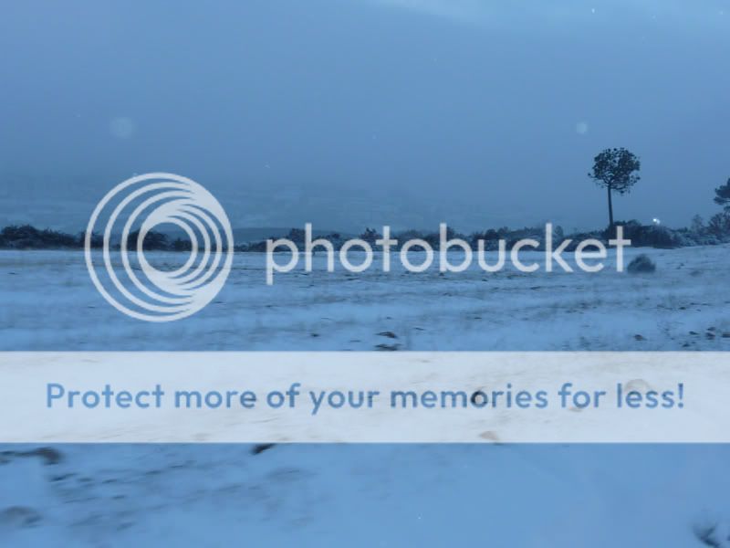 Neve na Guarda - Lightweight a bombar - LandMania Clube de Portugal